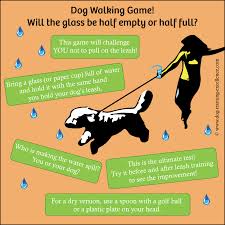 How to Train Your Dog Off-Leash in 5 Easy Steps – Animals
